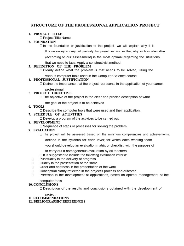Professional Application Project Structure | PDF
