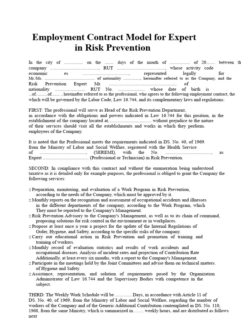 Risk Prevention Expert Employment Contract | PDF | Employment ...