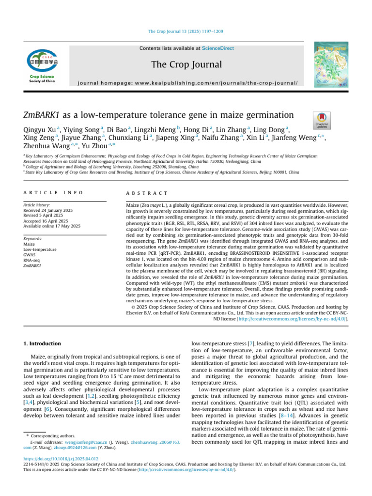 ZmBARK1 As A Low-Temperature Tolerance Gene in Maize Germination | PDF ...