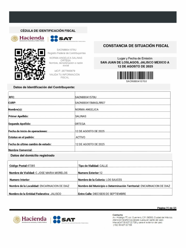 C.f.norma Angelica | PDF