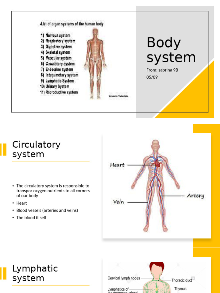 Body systems | PDF | Human Body | Lymph