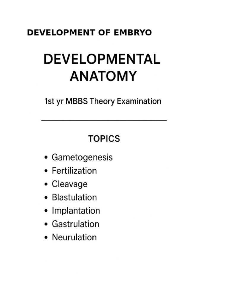 Embryo Development Stages Explained | PDF | Meiosis | Fertilisation