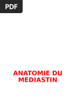 Anatomie Du Mediastin | PDF | Thymus (anatomie) | Aorte