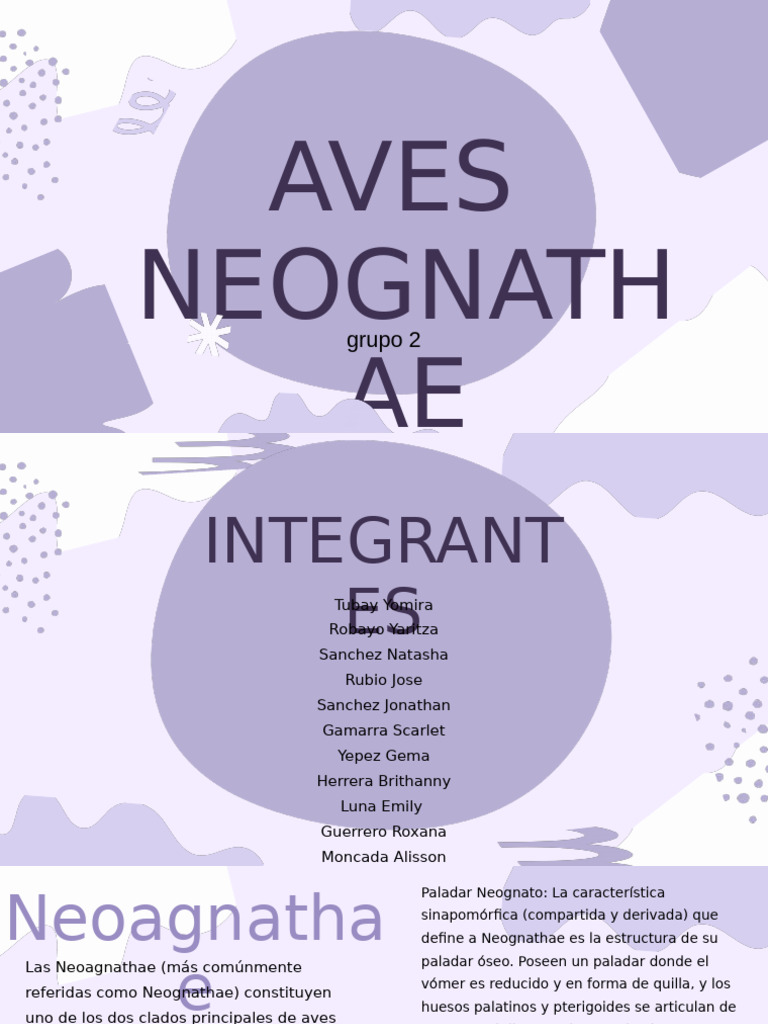 Aves Neognathae: Características y Clasificación | PDF | Anatidae ...