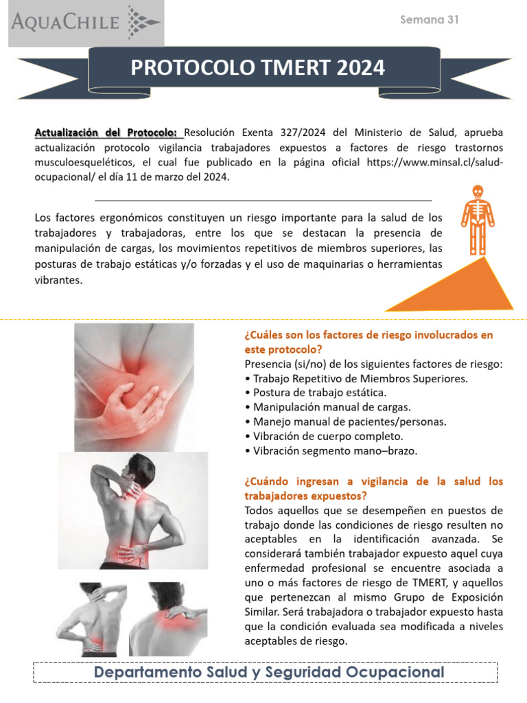 Diálogo Protocolo TMERT 2024 II | PDF | Seguridad y salud ocupacional | Cuidado de la salud