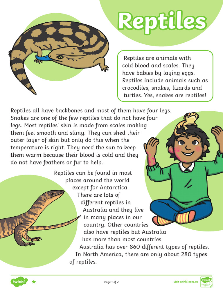 Au SC 1662447814 Reptiles Differentiated Fact File Ver 1 | PDF ...