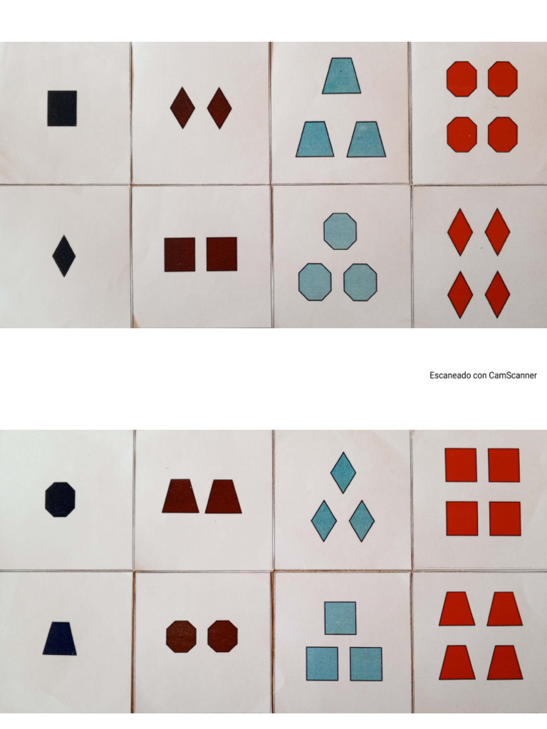 Fichas de Aplicación BANFE | PDF