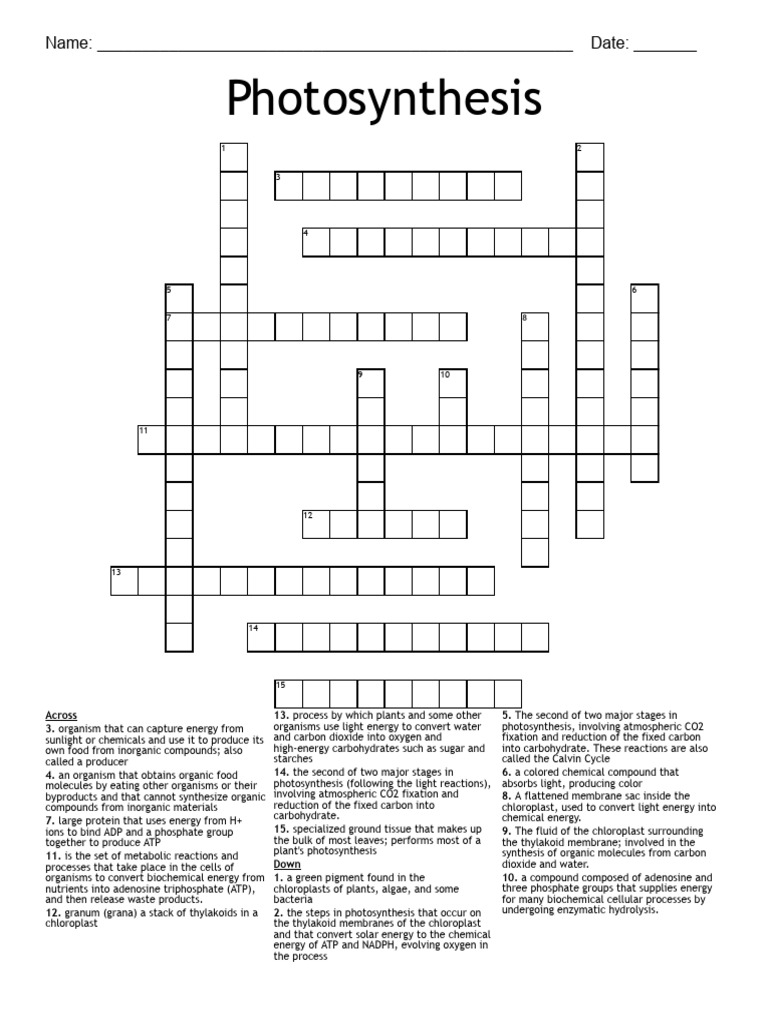 Photosynthesis Crossword Puzzle Guide | PDF | Photosynthesis | Chloroplast