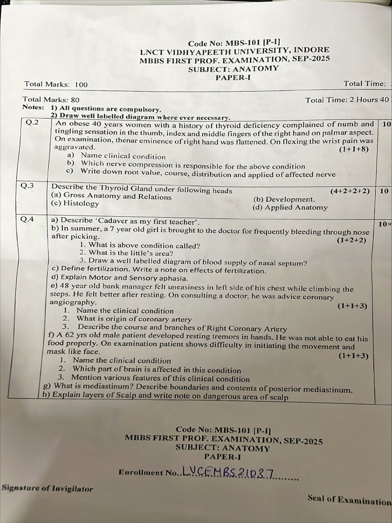 Anatomy Paper 1 (2024-25) - 1 | PDF