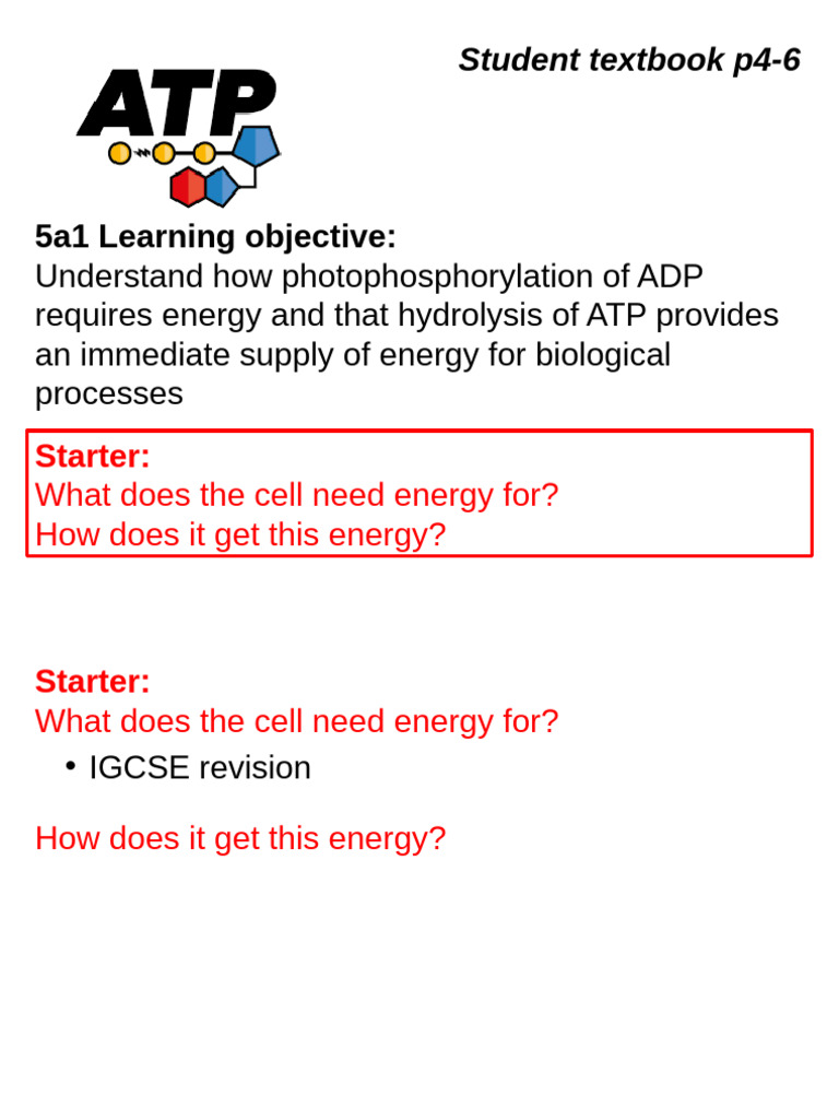5a1 Atp Vle 2022 | PDF | Adenosine Triphosphate | Adenosine Diphosphate