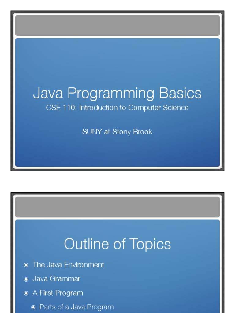 Java Programming Basics Cse 110 Introduction To Computer Science Suny 1785