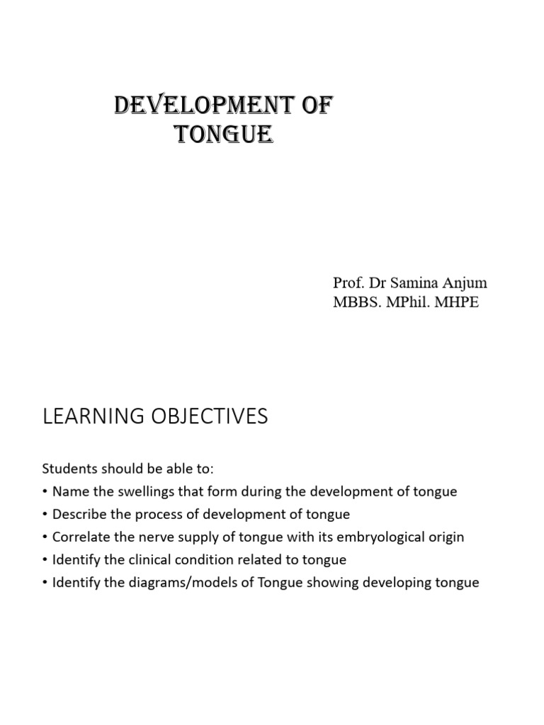 Tongue Development and Anatomy Overview | PDF