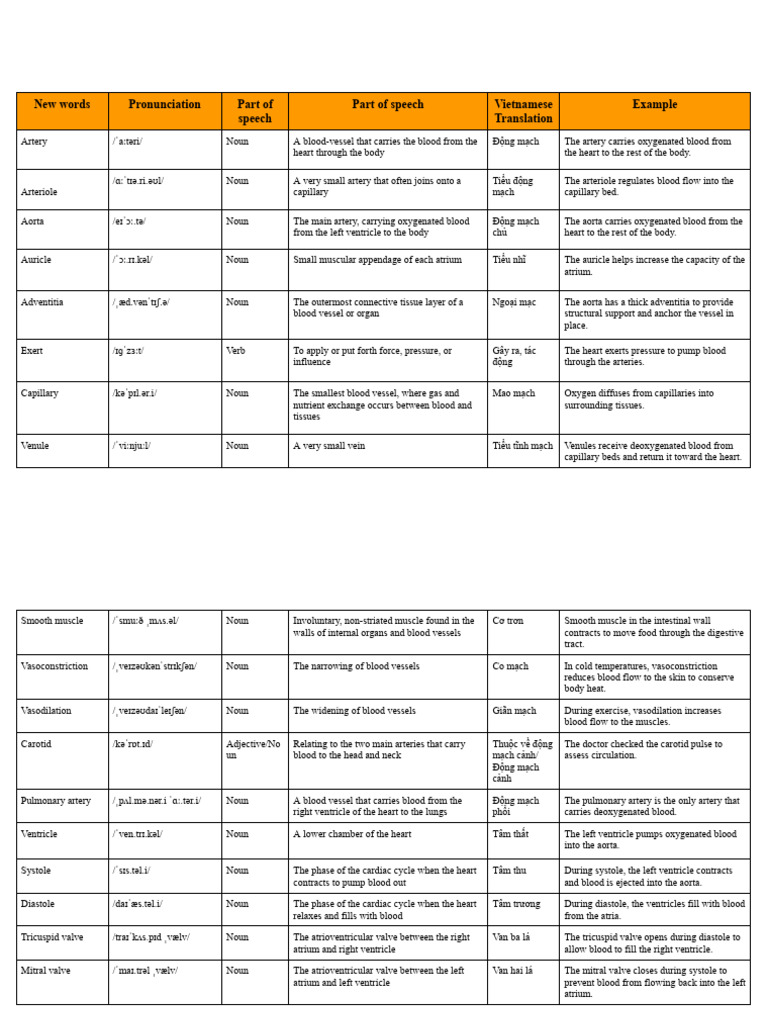Medical Vocabulary: Blood Vessels & Heart | PDF | Heart Valve ...