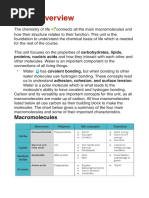 Amoeba Sisters - Plants-Diversity, Structure & Adaptations Video | PDF ...