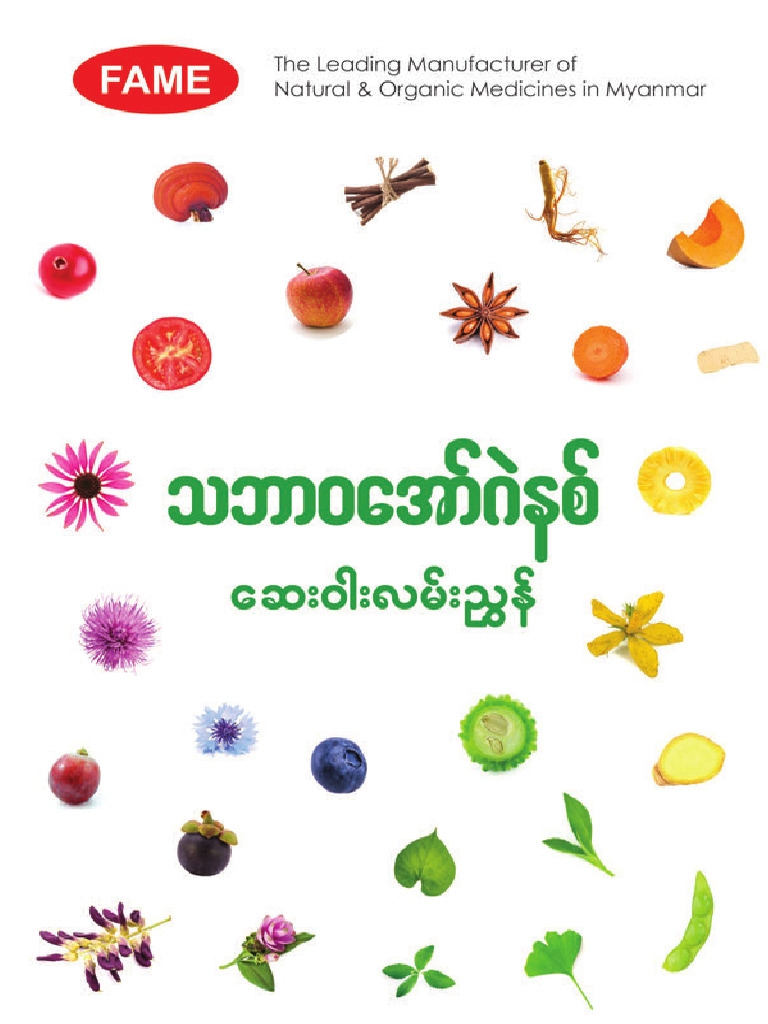 FAME Pamphlet Book | PDF