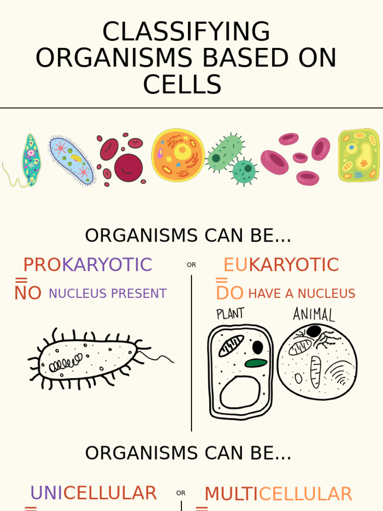 Classifying Prokaryotic and Eukaryotic Organisms | PDF