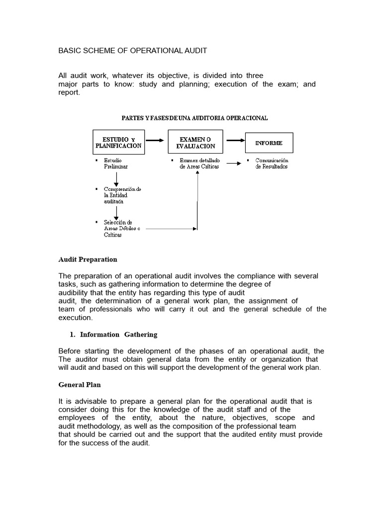 Operational Audit: Key Procedures Guide | PDF | Audit | Internal Control