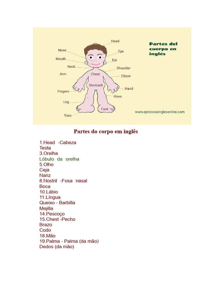 Partes do Corpo em Português | PDF