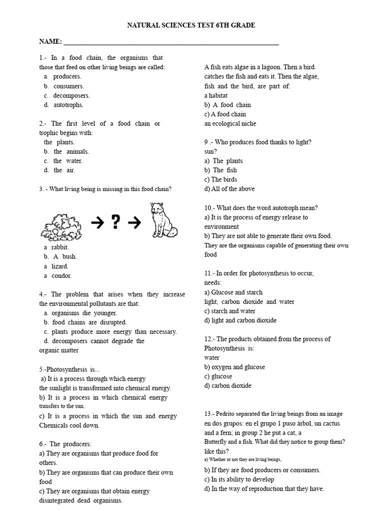 6th Grade Natural Sciences Test | PDF | Foods | Nature