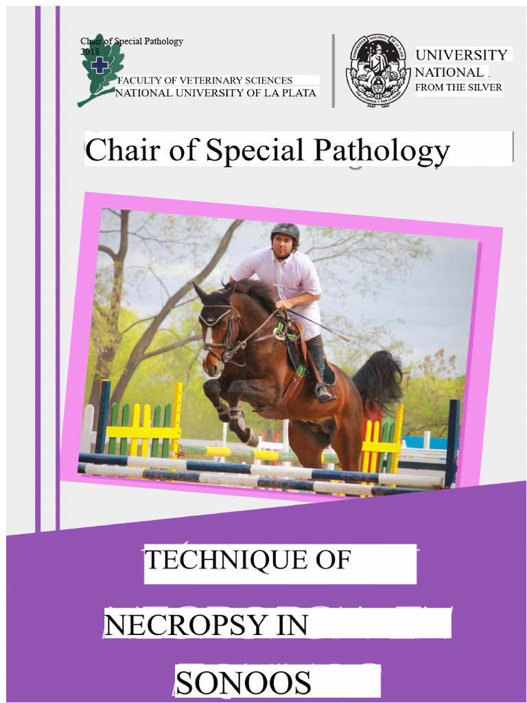 Equine Autopsy Techniques Guide | PDF | Large Intestine | Heart Valve