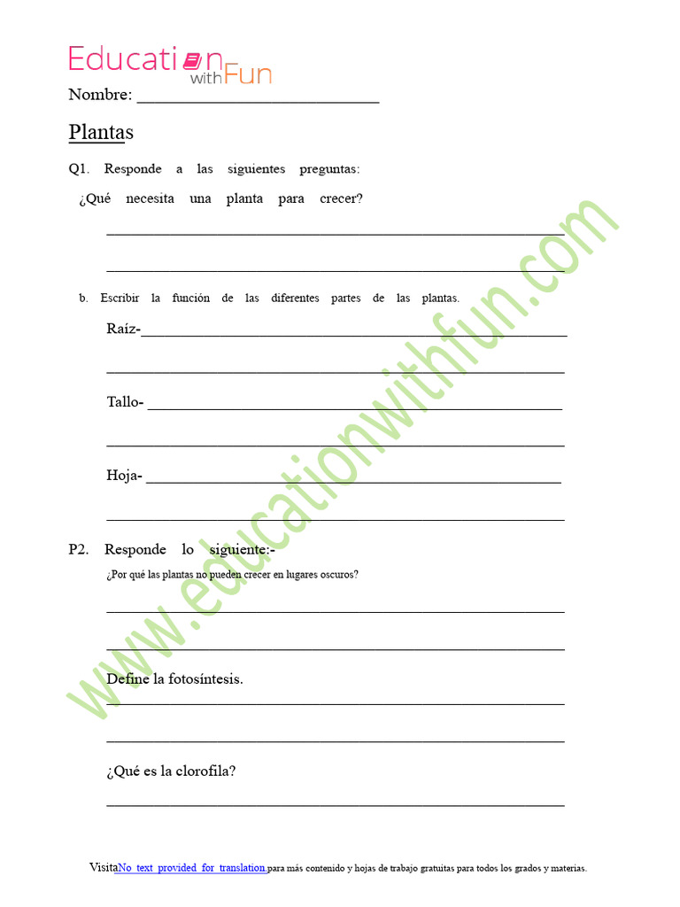 Hoja de Trabajo de Plantas 2 | PDF | Plantas | Fotosíntesis