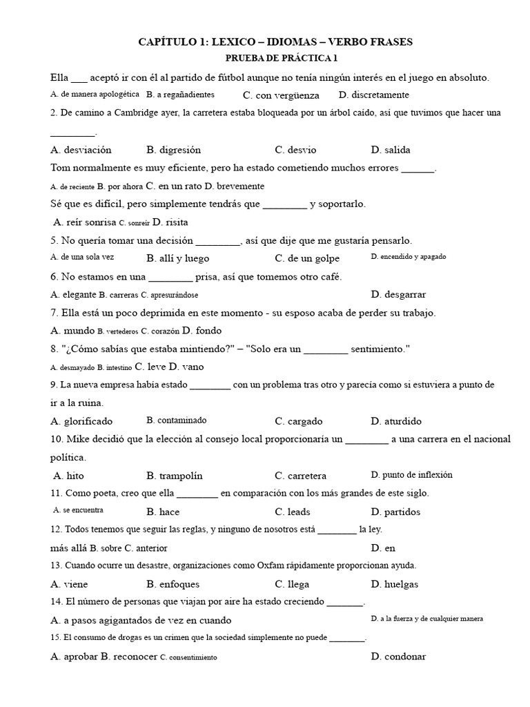 Prueba de Práctica de Vocabulario y Gramática | PDF