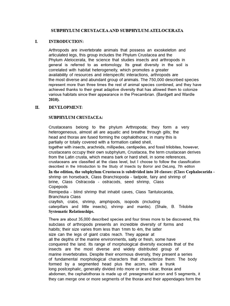 Overview of Atelocerata Subphylum | PDF | Crustacean | Arthropods