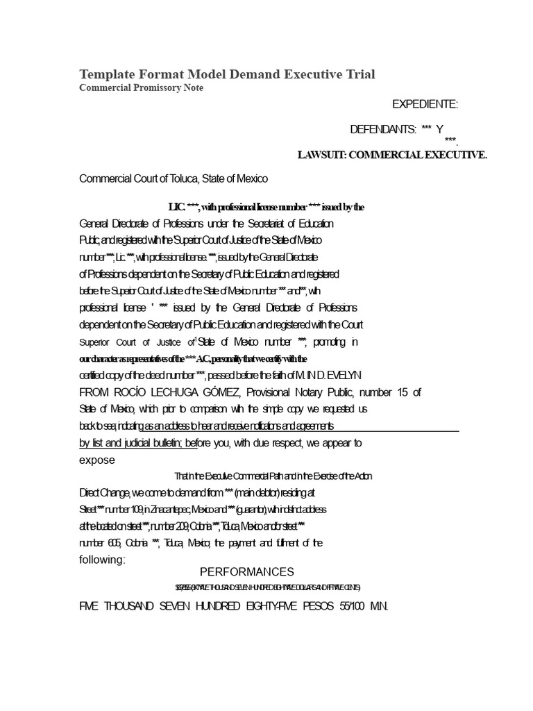 Template Format Model Demand Executive Commercial Trial Promissory Note ...