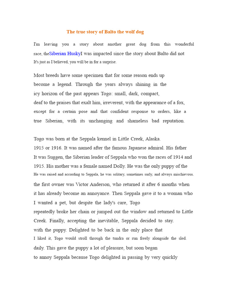 The True Story of Balto the Dog | PDF | Sledding | Dog Sledding