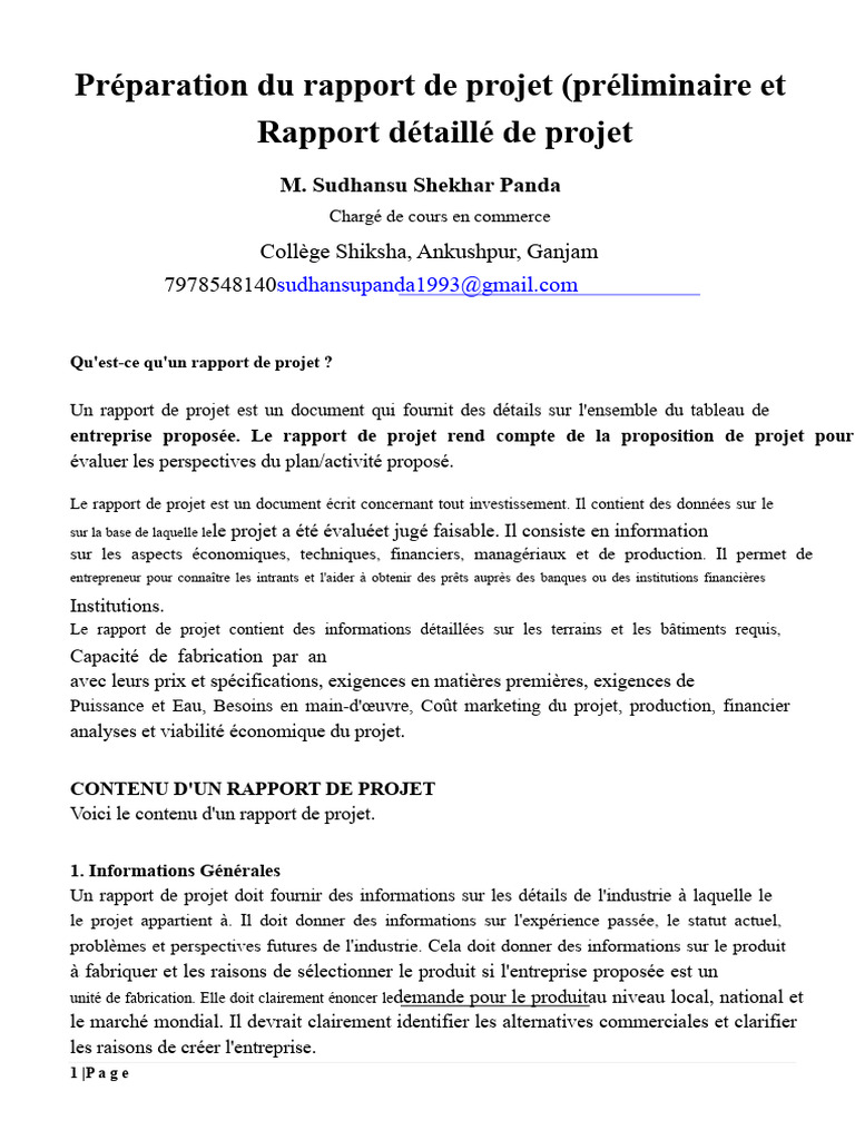Guide de rédaction d'un rapport de projet | PDF | Business ...
