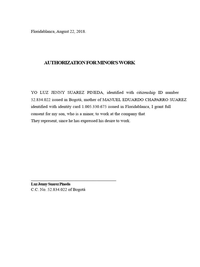 Authorization For Minor Work | PDF