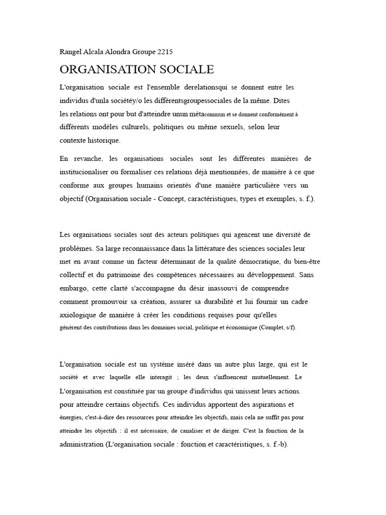 Comprendre l'organisation sociale | PDF