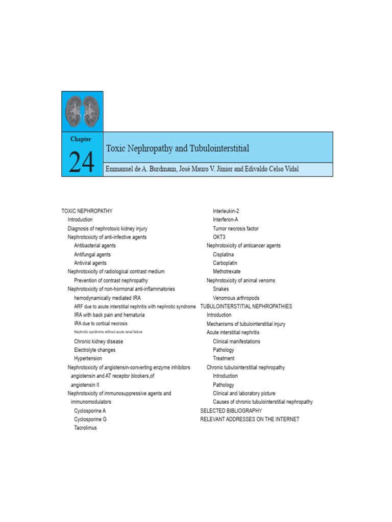 24-Toxic Nephropathy and Tubulointerstitial | PDF | Kidney Disease | Kidney