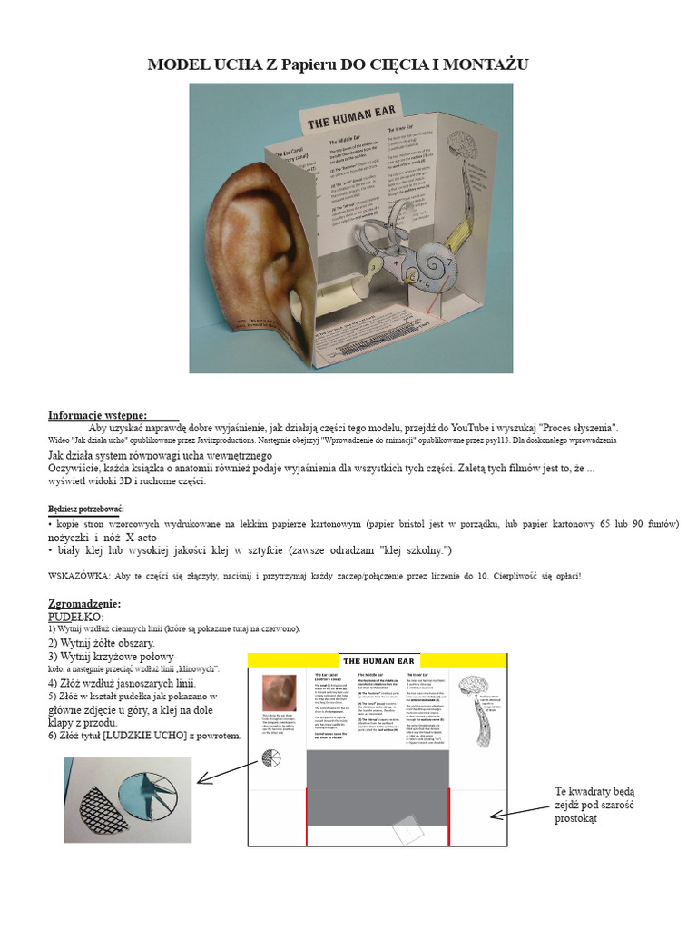 Model Ucha Papierowego | PDF