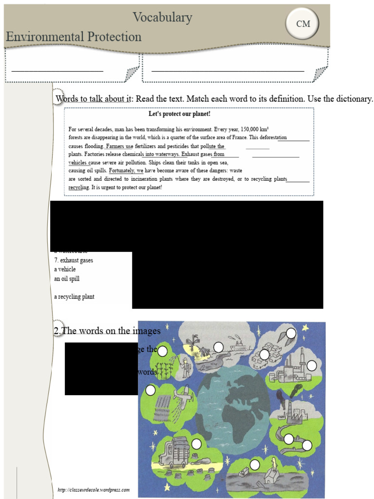 Environmental Vocabulary and Protection | PDF | Deforestation | Recycling