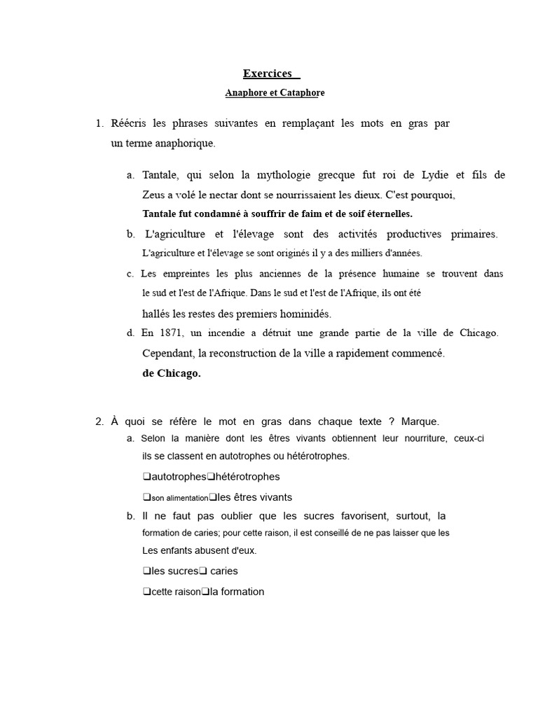 Exercices sur Anaphore et Cataphore | PDF