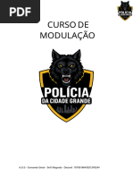 Codigos Da Policia GTA RP | PDF