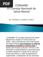 Protocolo Código Rosa en IMSS | PDF | Hospital | Medicina CLINICA