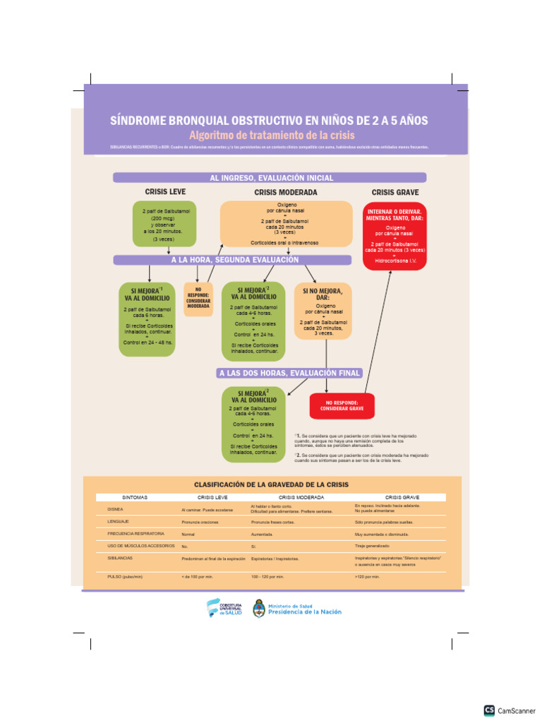 Algoritmo BOR MSN | PDF | Asma | Especialidades Medicas
