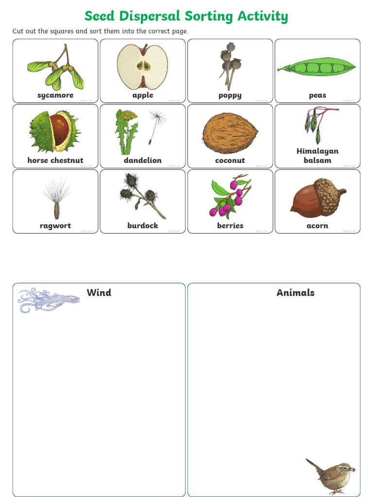 Stella Marie Frochaux Bonadies - Seed Dispersal Sorting Activity ...