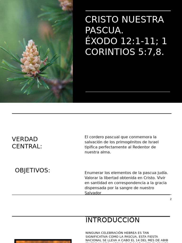 Cristo Nuestra Pascua | PDF | Pascua de Resurrección | Cristo (título)