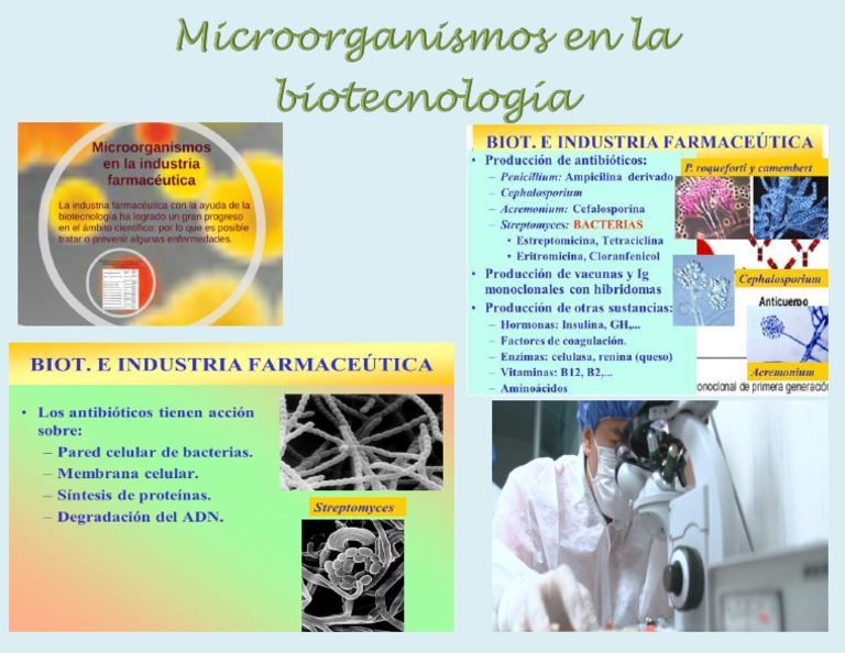 Doc5.docx CIENCIAS | PDF