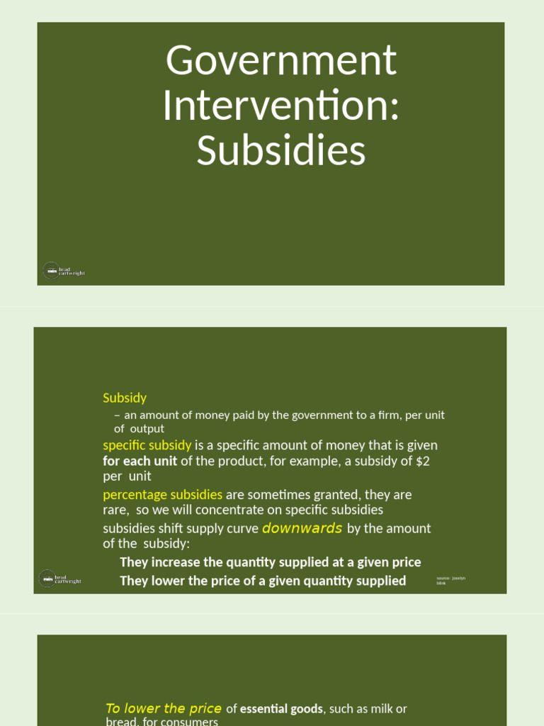 2.7 Government Intervention Subsidy | PDF | Economic Surplus | Subsidy