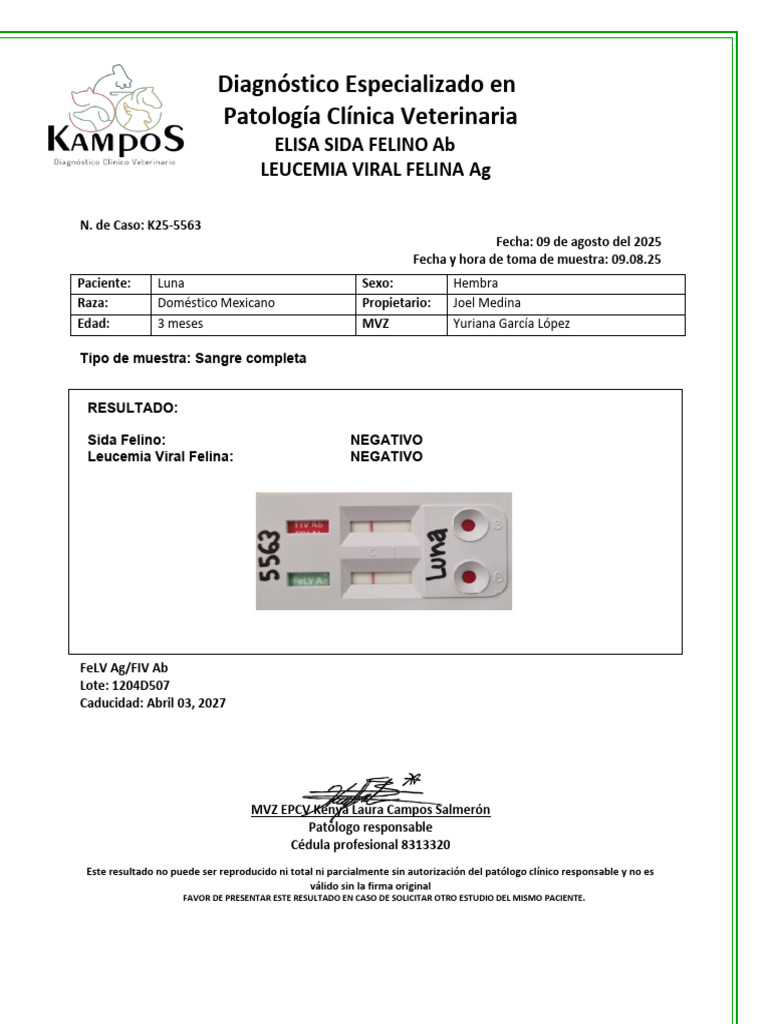 k25-5563 Elisa Sida y Leucemia Felinos Luna | PDF