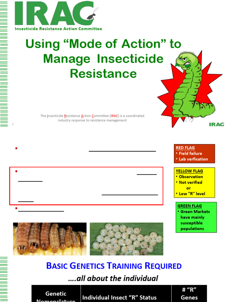 Manage Insecticide Resistance: MOA Guide | PDF | Acetylcholine ...