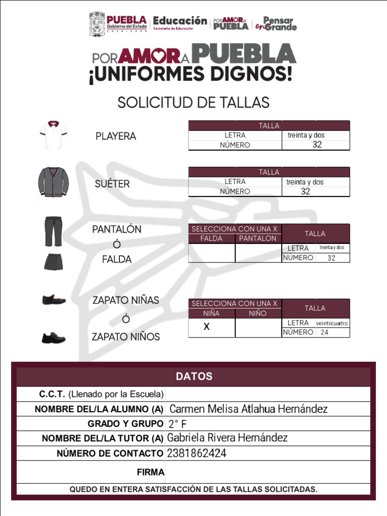 Formato Peso y Talla | PDF