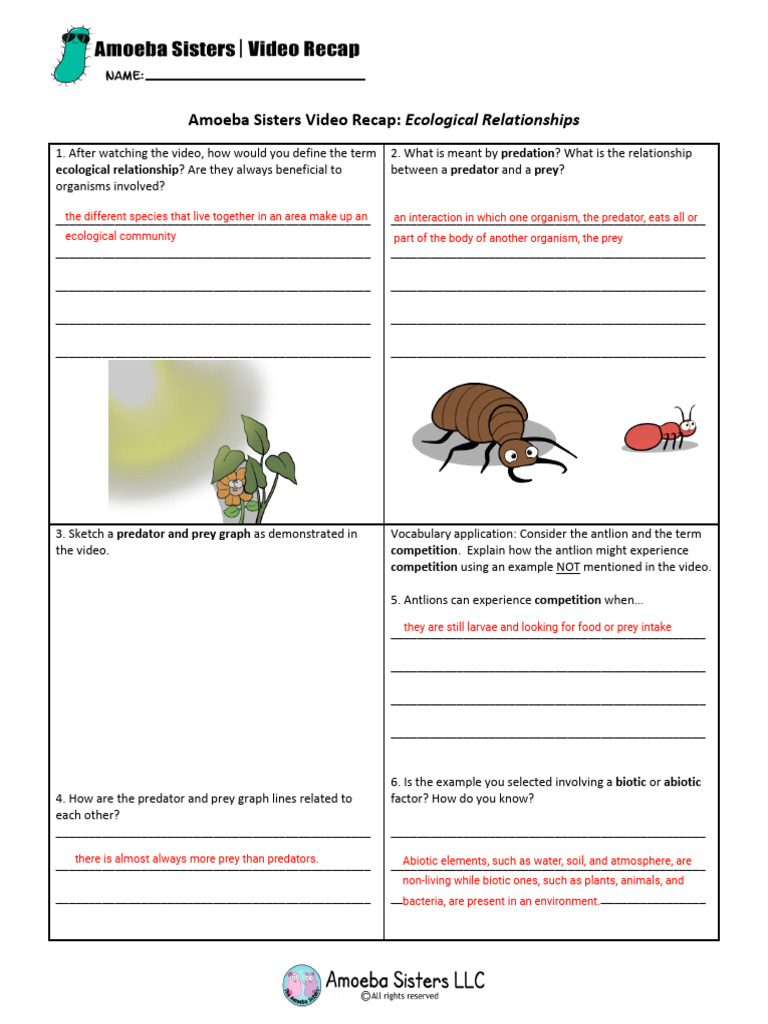 Bobby Kerns - Ecological Relationship Ameoba Sister Ws | PDF | Ecology ...