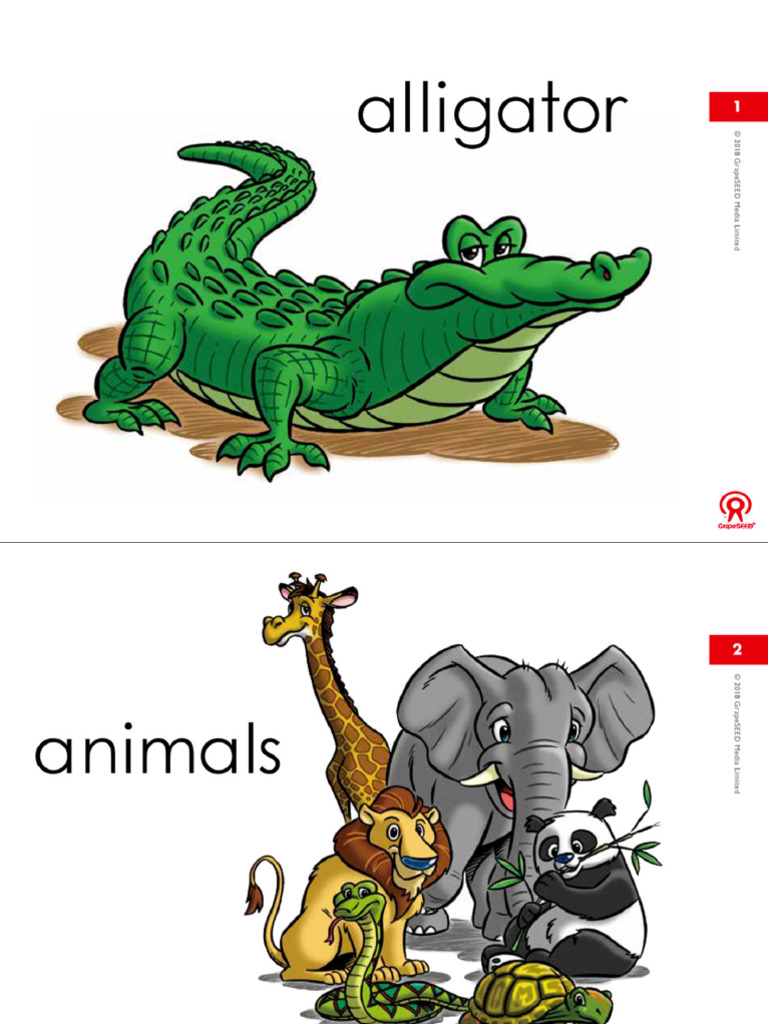 Gs Unit 1 Animals | PDF