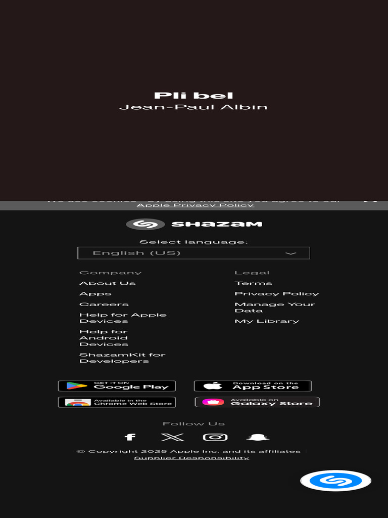 Shazam - Music Discovery, Charts & Song Lyrics | PDF