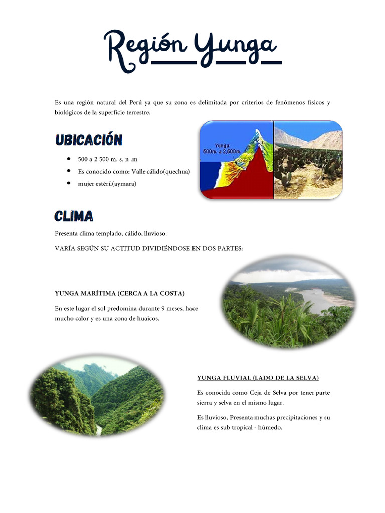 Region Yunga | PDF